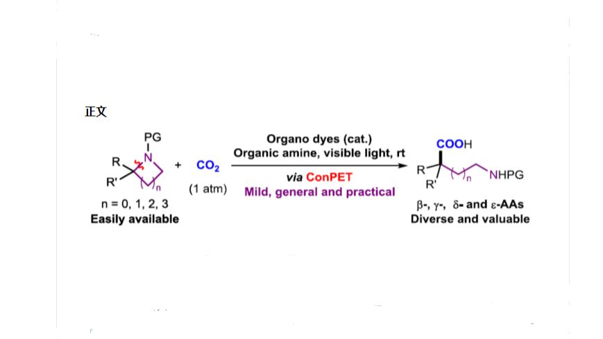Angew：四川大学余达刚与叶剑衡课题组可见光催化CO2参与的环胺化合物C-N键羧基化反应 - 哔哩哔哩