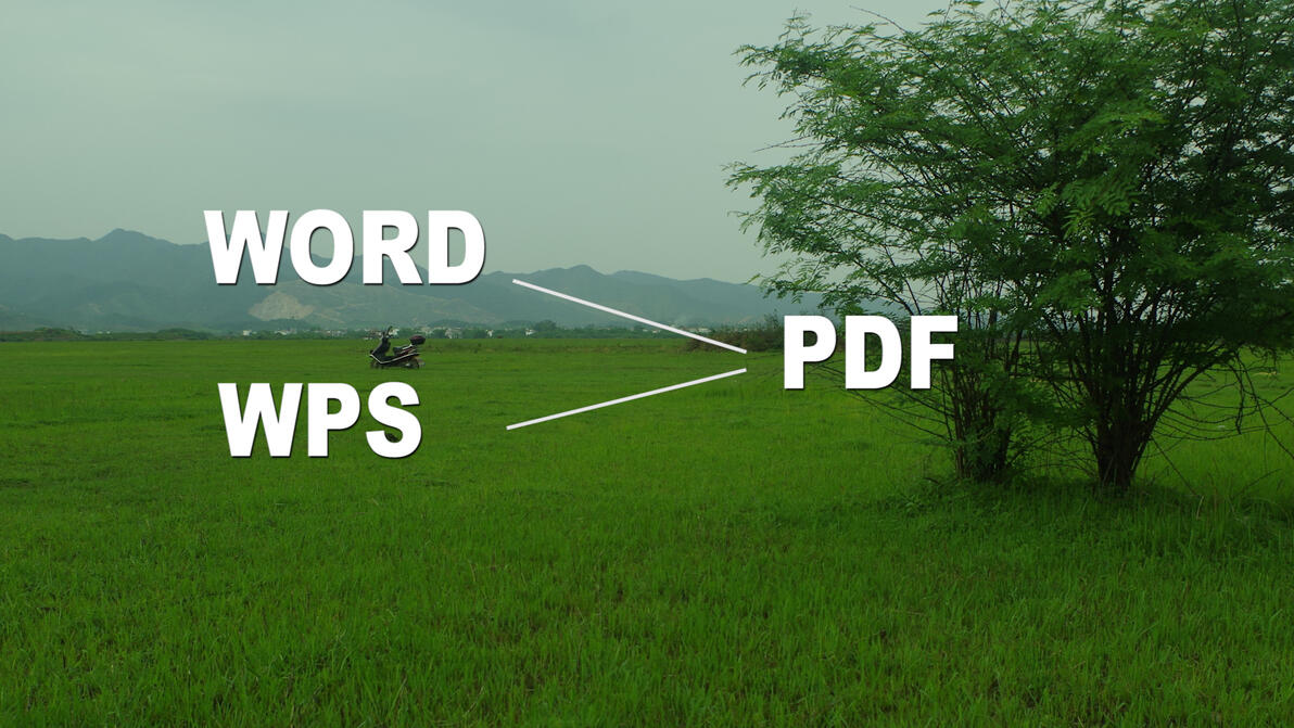 不需第三方工具，轻松将WPS和WORD文档转换成PDF或OFD格式 - 哔哩哔哩