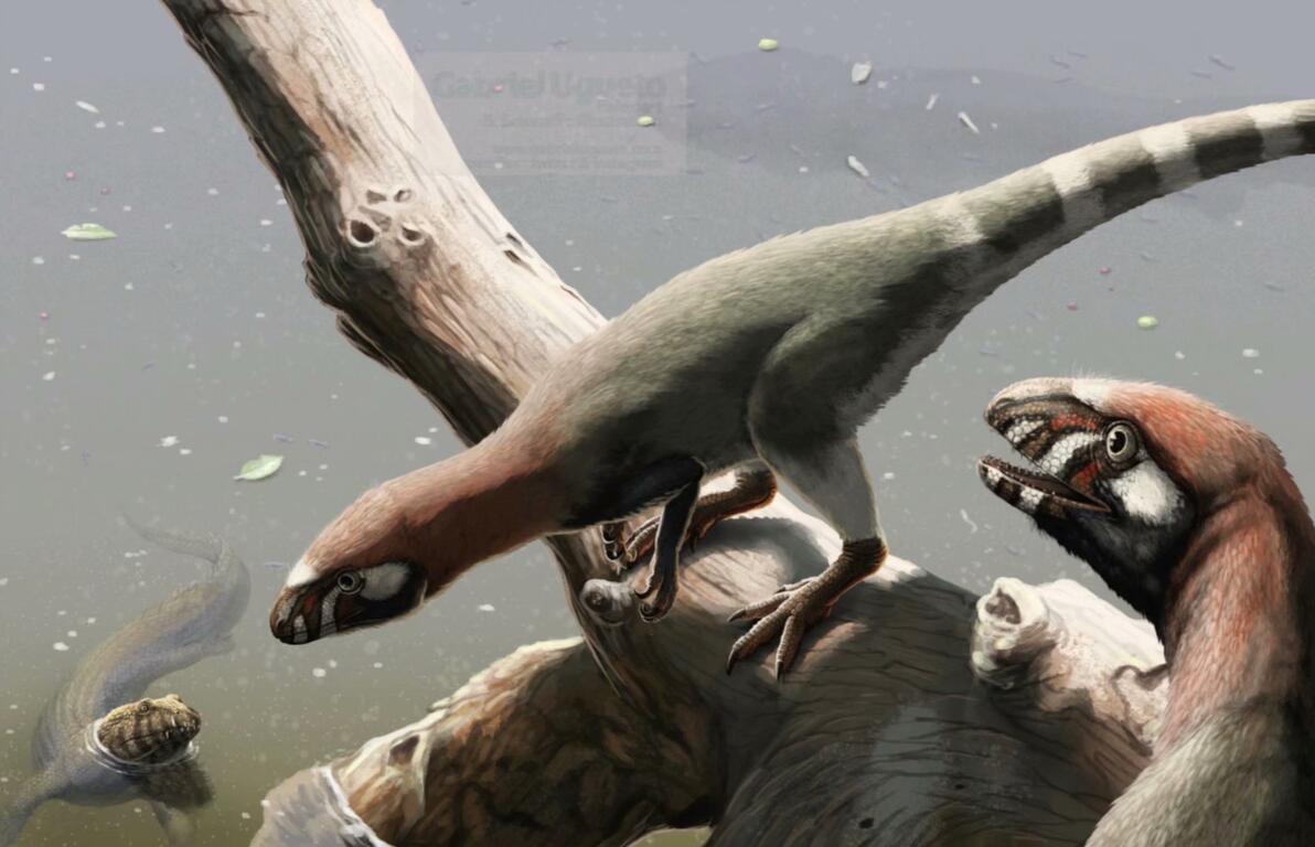 【科普】离龙目：江中潜龙，扑朔迷离！ - 哔哩哔哩