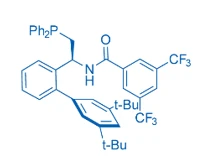Sadphos：叔丁基亚磺酰胺（TBSA）的神奇之旅 - 哔哩哔哩