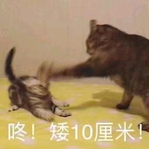 打人表情包（非动图） 上期 - 哔哩哔哩