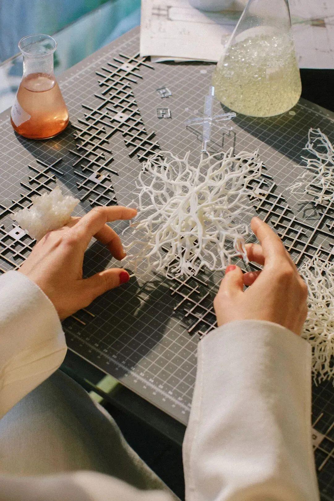 CY TALK | 生物设计科学怪人 ecoLogicStudio 如何运用藻类融入我们的生活 - 哔哩哔哩