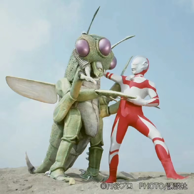 戈迪斯 - 哔哩哔哩