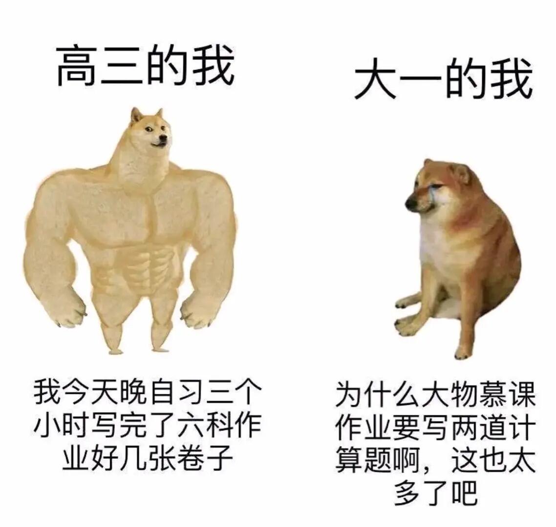 cheems/doge合集【2】｜正常人用的表情包（含对比图） - 哔哩哔哩