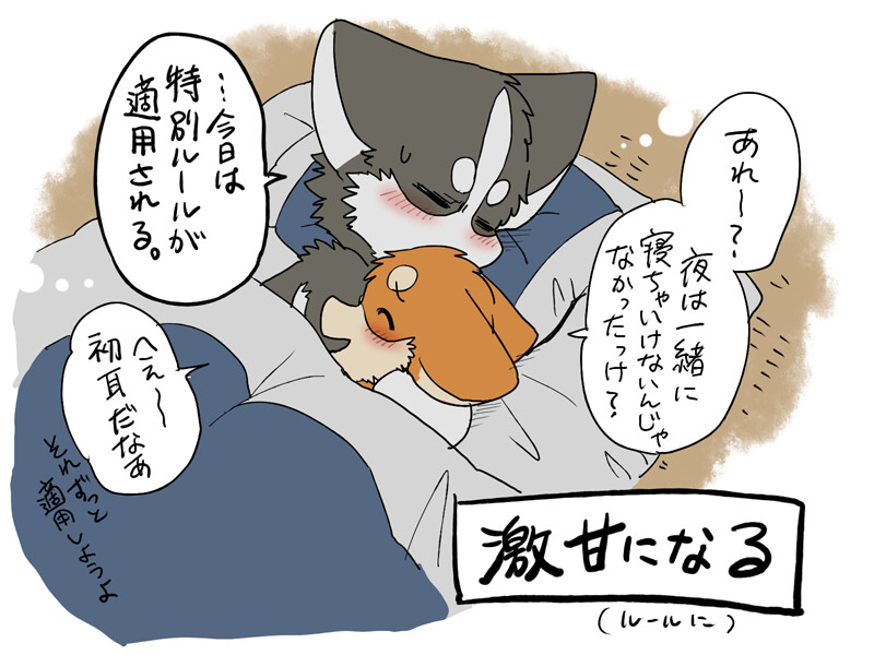 Fc2博客2020年11月12月『西伯太的救助屋』 哔哩哔哩