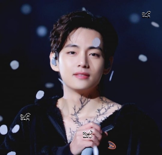 闪耀社交之王！防弹少年团V ，2021维基百科KPOP solo艺人第一名 - 哔哩哔哩