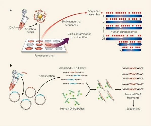 4000张绝美Nature&Science插图配色高级，构图完美! - 哔哩哔哩