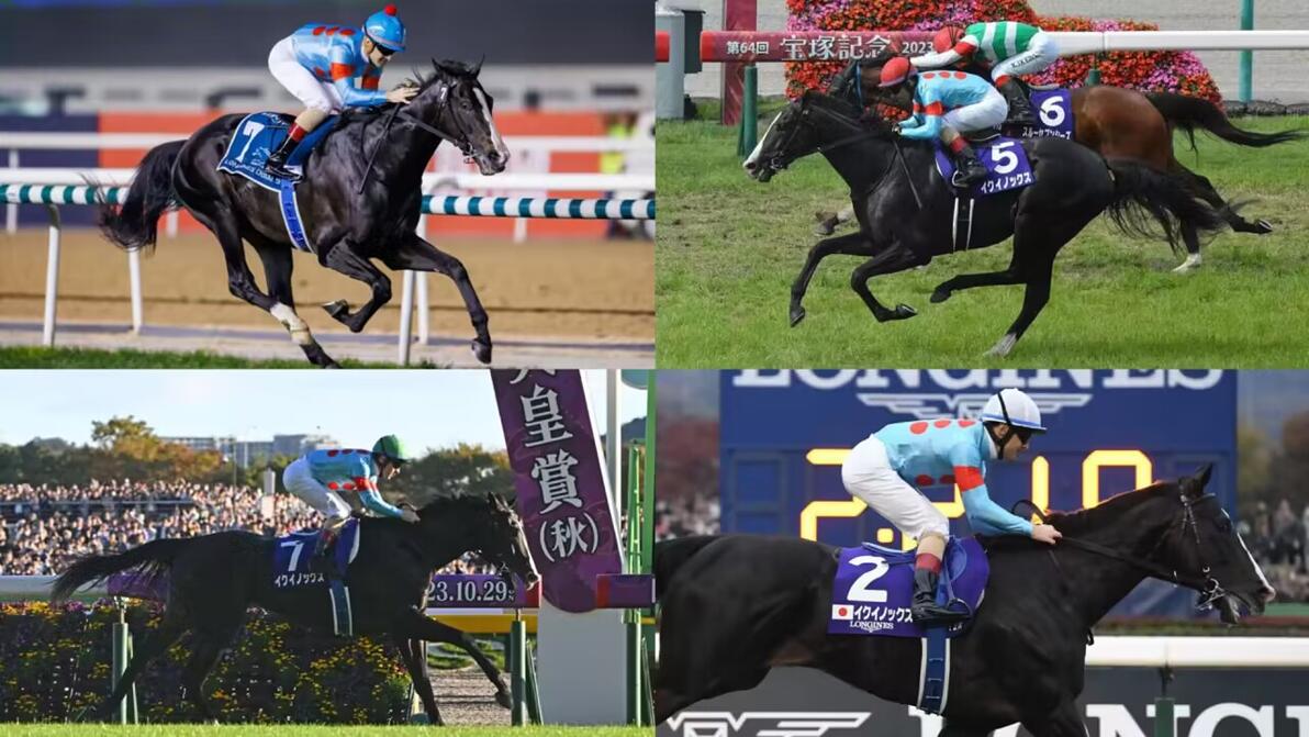 【全图鉴】日本JRA年度代表马（1954-2022） - 哔哩哔哩