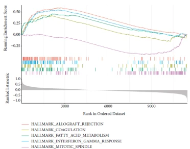【生信小知识】GSEA和ssGSEA、单基因GSEA都是什么？GSEA结果图怎么看？ - 哔哩哔哩