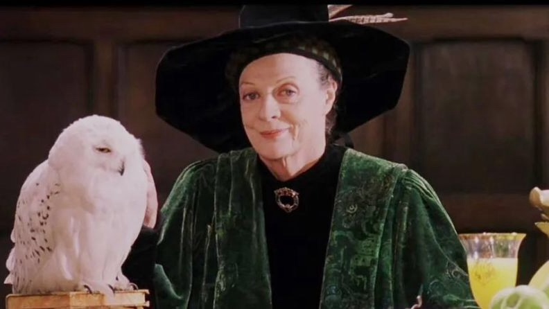 《哈利·波特》人物介绍 麦格教授 - 哔哩哔哩