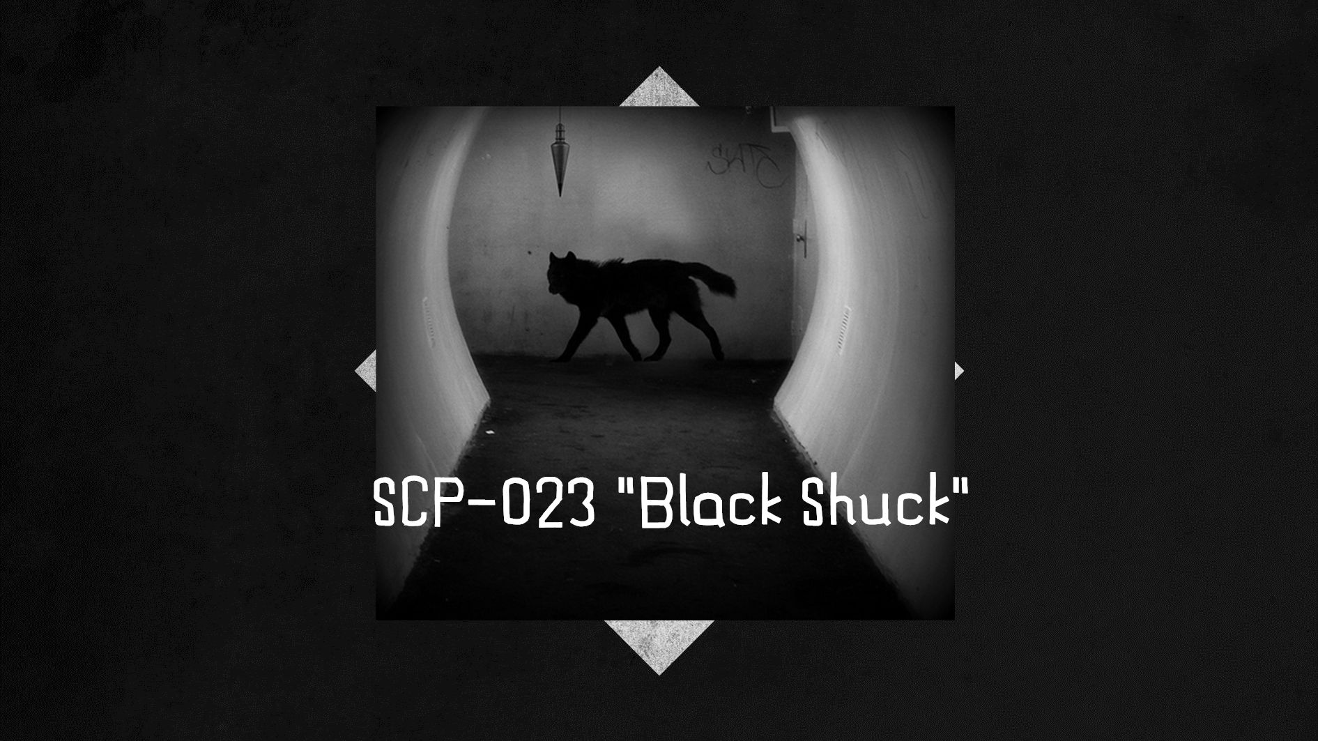 【SCP基金会档案库】28.关于SCP-023“Black Shuck” - 哔哩哔哩
