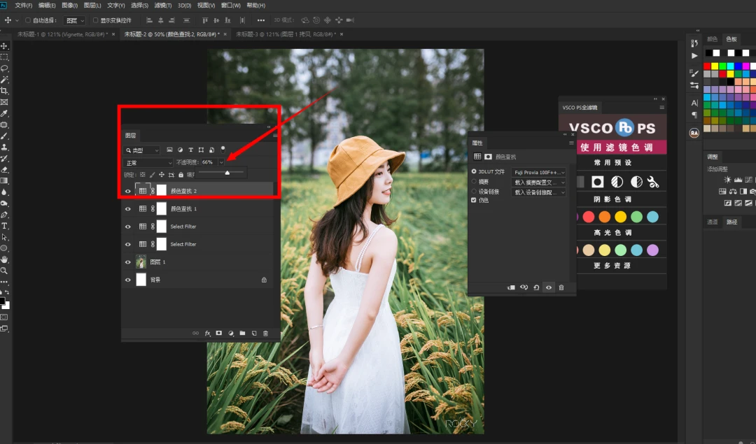 Vsco全滤镜ps插件汉化版，支持Win/Mac系统 - 哔哩哔哩