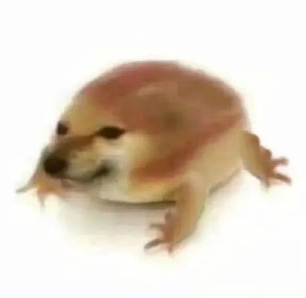 cheem/doge合集【1】｜正常人用的表情包 - 哔哩哔哩