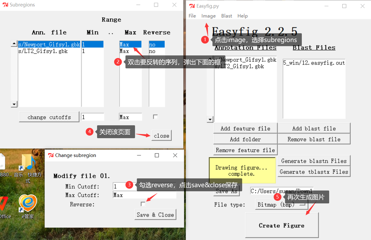 Easyfig 在windows系统的下载、安装和初步共线性比对 - 哔哩哔哩