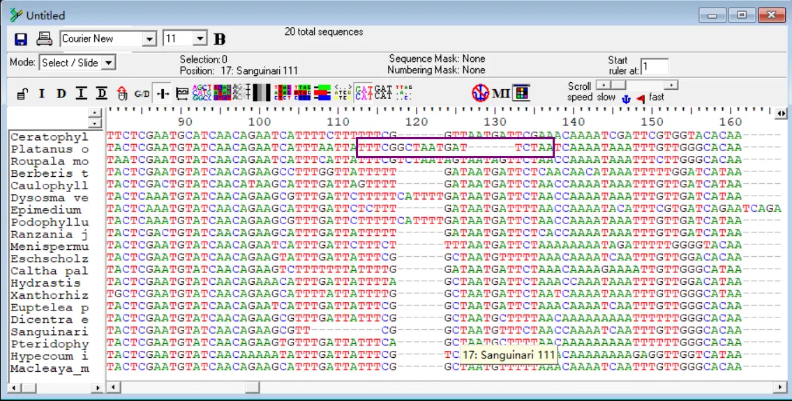 个人学习记录：建树流程1——bioedit的序列编辑及MEGA的使用 - 哔哩哔哩