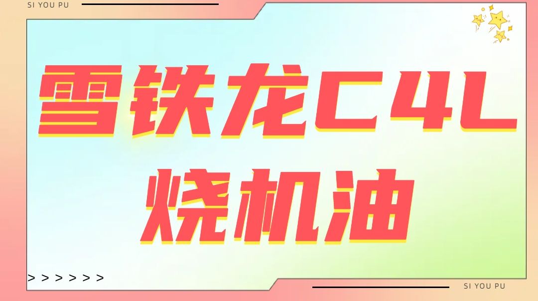 雪铁龙C4L烧机油严重怎么解决 - 哔哩哔哩