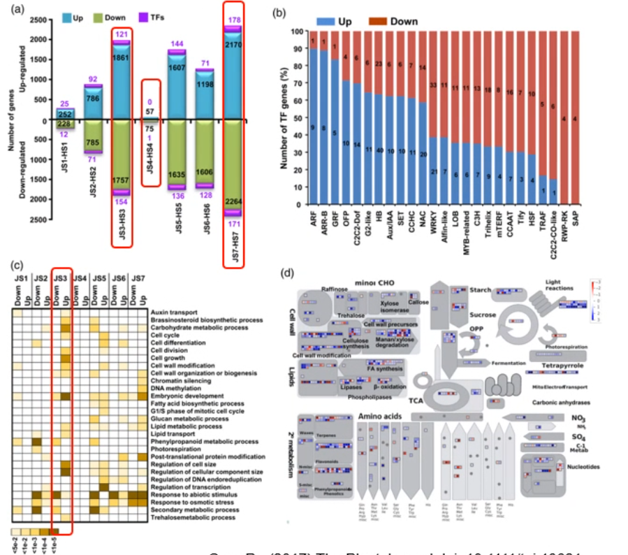 WGCNA学习：WGCNA应用场景与实例解读 - 哔哩哔哩