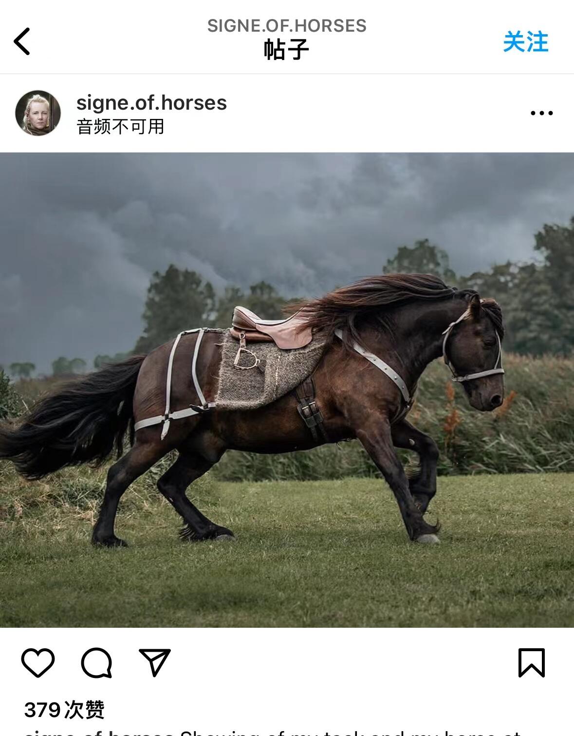 中世纪的马儿们到底长什么样（图片皆收集于ins） - 哔哩哔哩