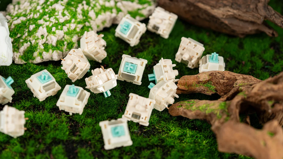 长《日·键圈时刻表》BUFF LAB BUFF80 R2今晚开团 一元一键 阿斯盾AUSDOM H87发售 - 哔哩哔哩