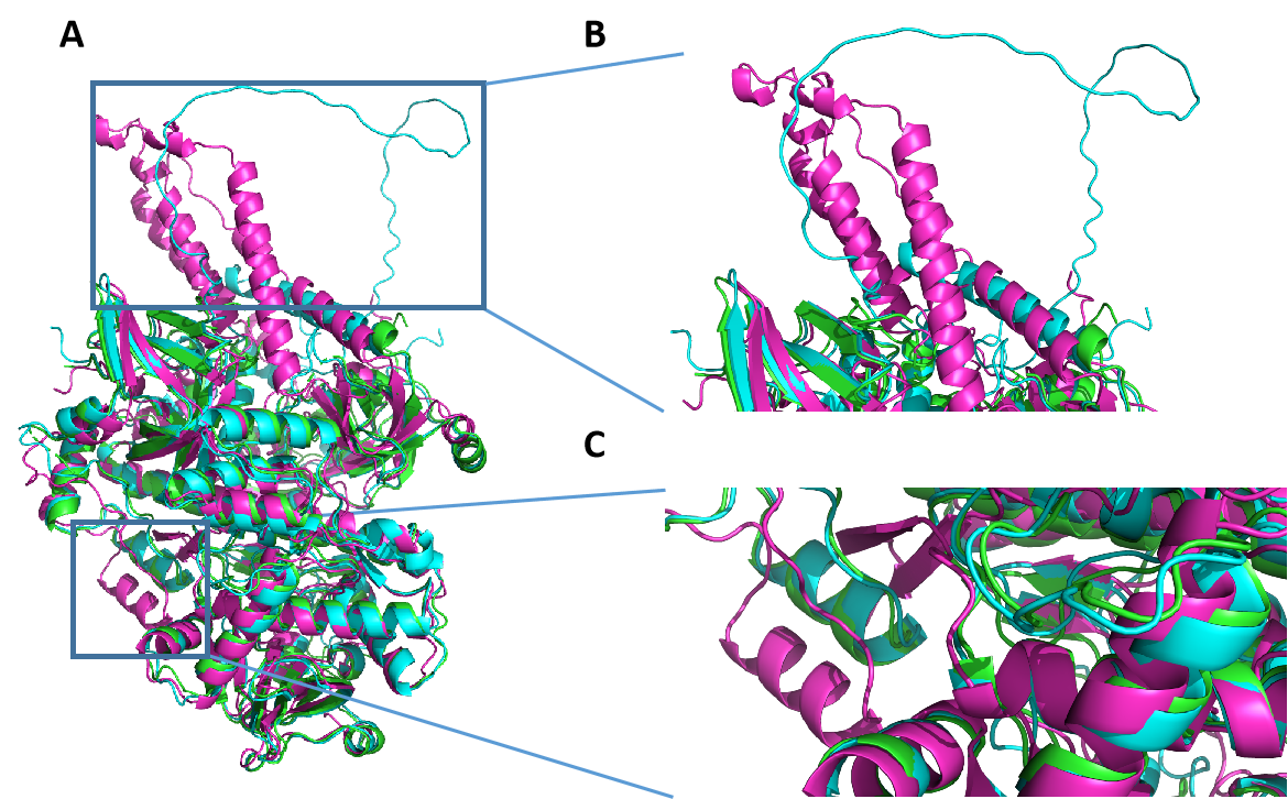 Alphafold2和RoseTTAFold蛋白结构预测准确性研究（测评向伪论文，看个乐哈） - 哔哩哔哩