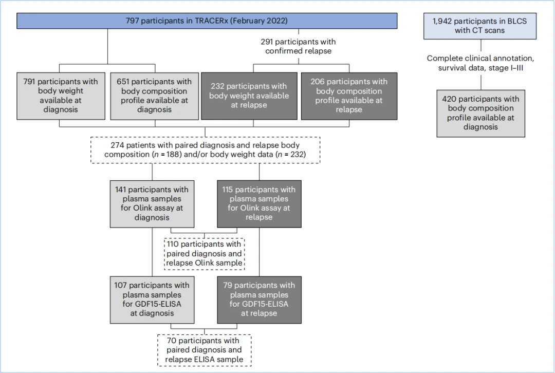Olink高分文献解读|在TRACERx中肺癌患者的体重变化和身体组成与恶病质的关系 - 哔哩哔哩