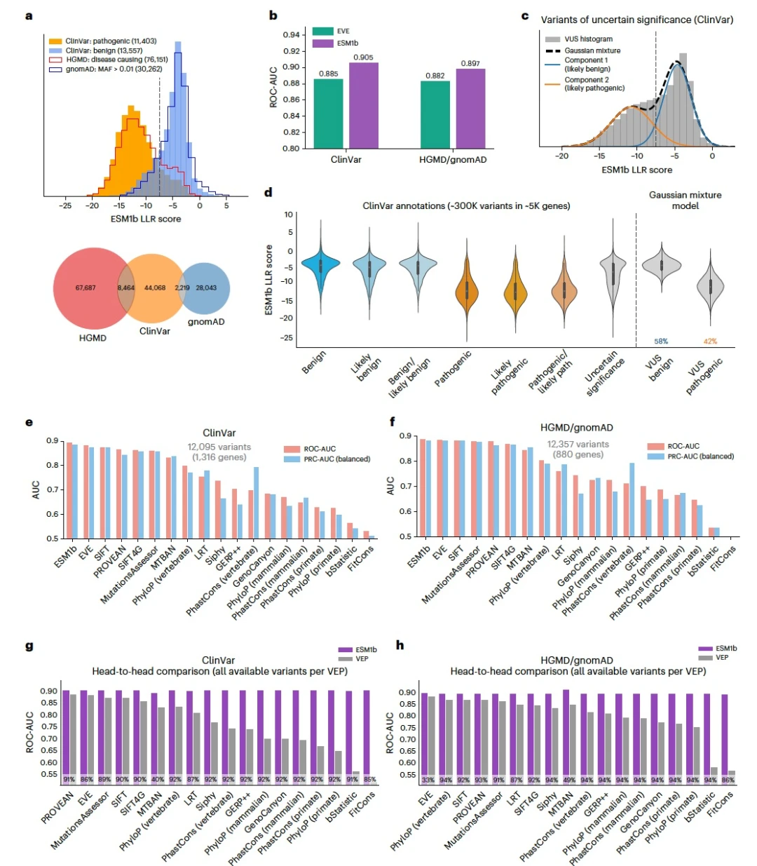 Nat. Genet. | 深度蛋白质语言模型在基因组范围内预测疾病变异效应 - 哔哩哔哩