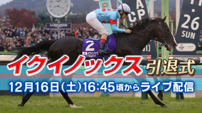 【全图鉴】日本JRA年度代表马（1954-2022） - 哔哩哔哩