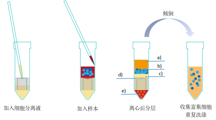 解决方案|PBMC分离小妙招 - 哔哩哔哩