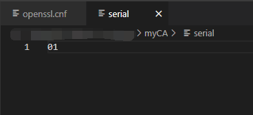OpenSSL命令行：自建CA&操作CRL - 哔哩哔哩