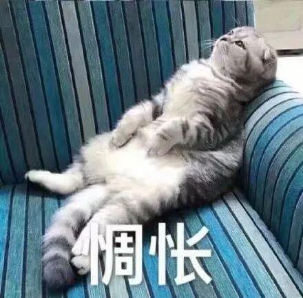 一文读懂DEM数字地形"全家桶"（附5m 12.5m 30m 90m DEM下载） - 哔哩哔哩