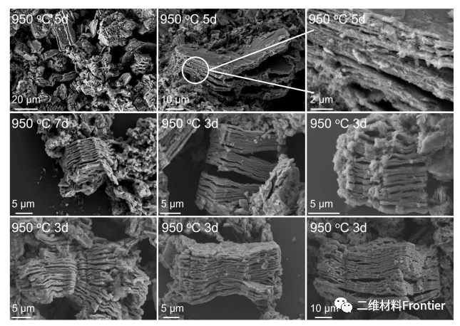 《Science》顶刊推荐！ 二维碳化物和氮化物 MXenes 的直接合成和化学气相沉积 - 哔哩哔哩