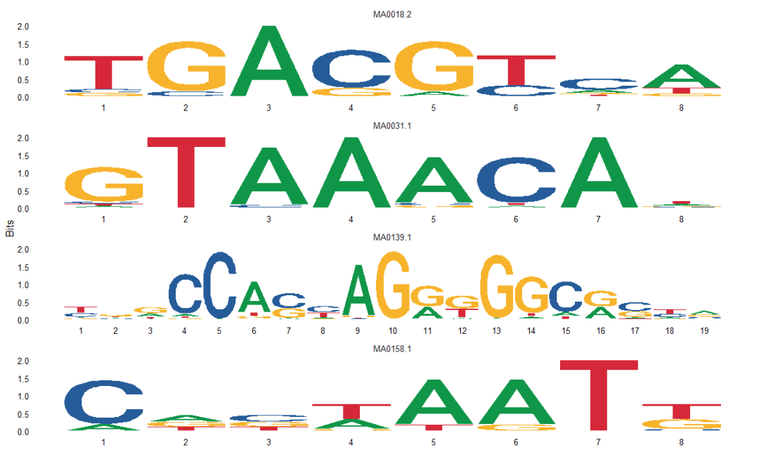 R可视化——ggseqlogo包绘制序列分析图 - 哔哩哔哩