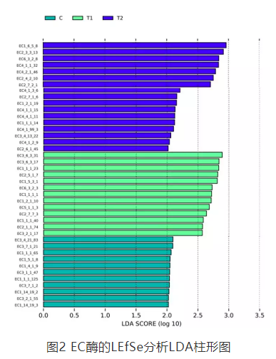 技术贴 | 微生太宏基因组报告解读 - 哔哩哔哩