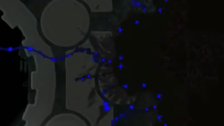 [RainWorld雨世界]wiki生物介绍(翻译):香菇Daddy Long Legs - 哔哩哔哩