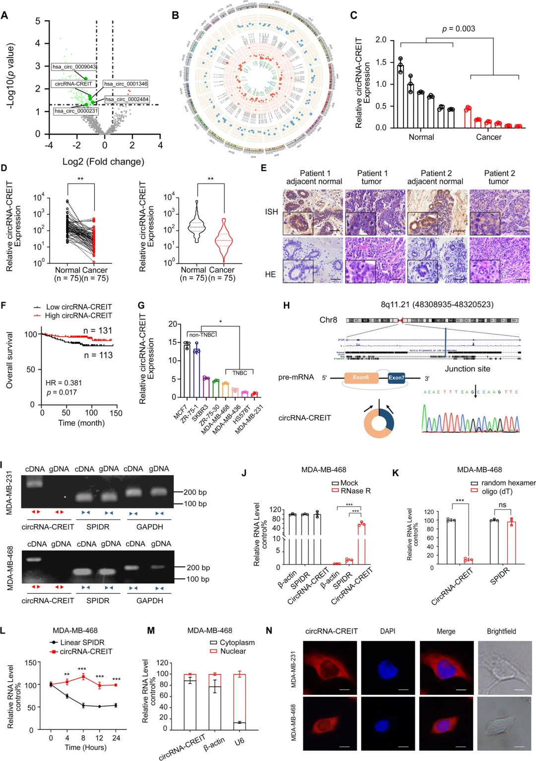 J Hematol Oncol | 乳腺癌类器官助力发现对抗三阴性乳腺癌化学耐药性的新策略 - 哔哩哔哩