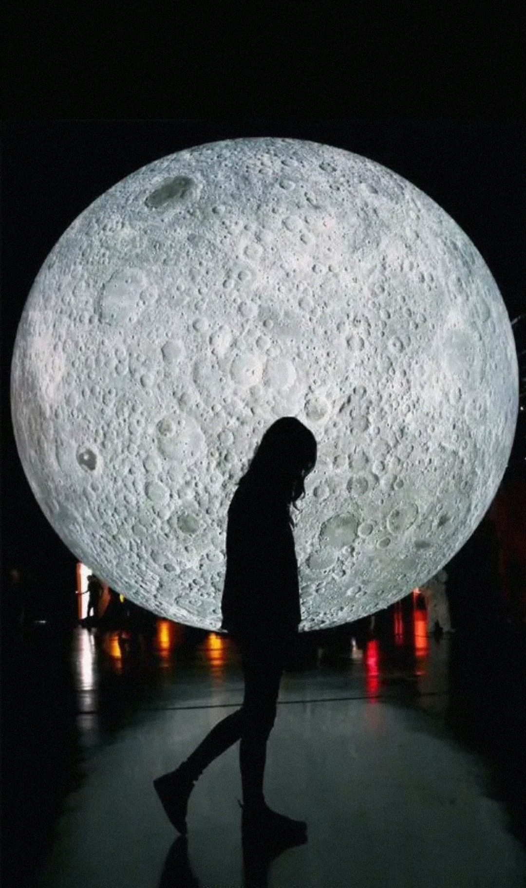 MOON DAD（月父） - 哔哩哔哩