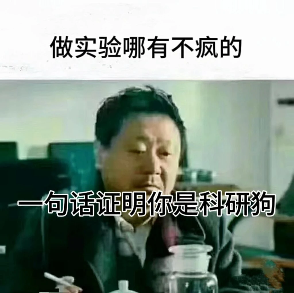 一句话证明你是科研狗 哔哩哔哩