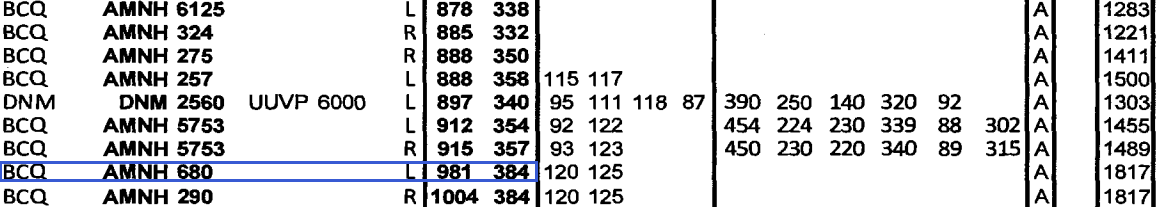 AMNH 680的若干个版本， Carrano设下的悬案？？？chure拥有一手实测的数据？？？ - 哔哩哔哩