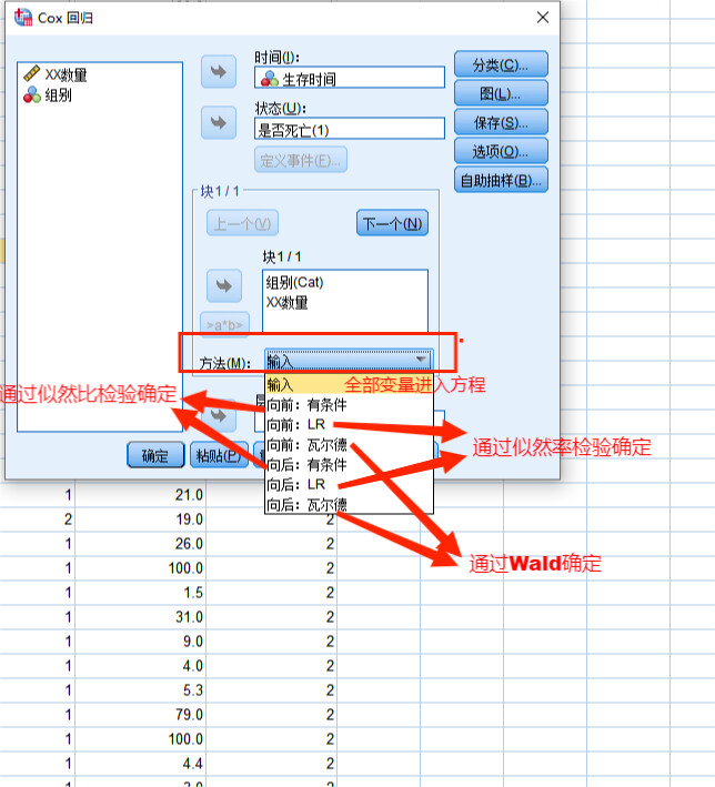 spss操作步骤讲解系列--Cox模型 - 哔哩哔哩