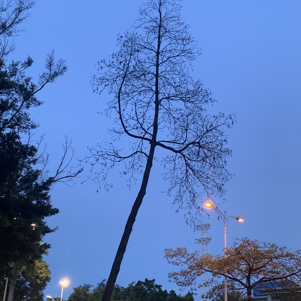 心态对了生活就不会这么累了 哔哩哔哩