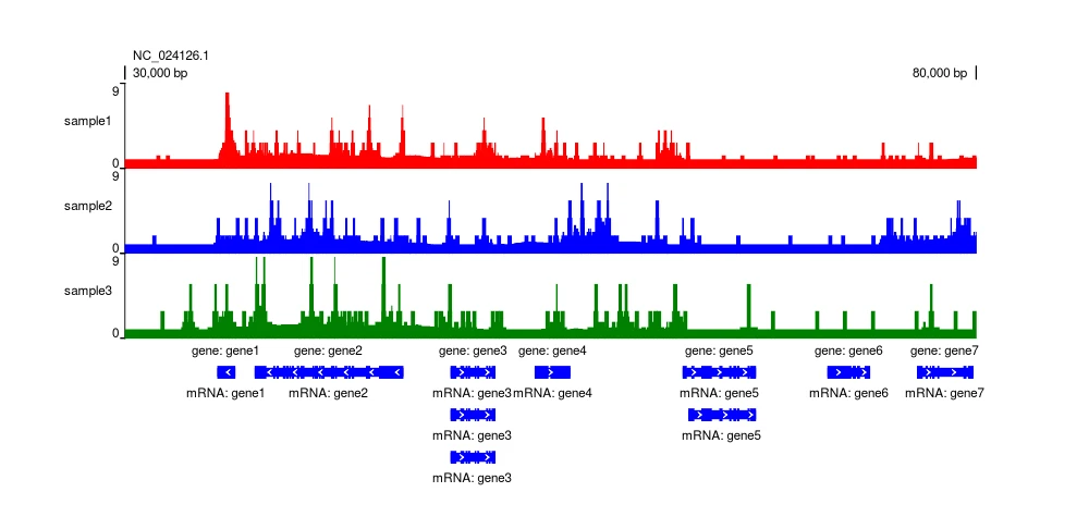 chip-seq峰图（peak）可视化 - 哔哩哔哩