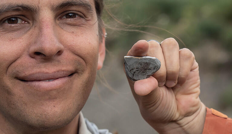 进军海洋的远古蟹勇士：迷惑丽魔蟹（Callichimaera perplexa） - 哔哩哔哩