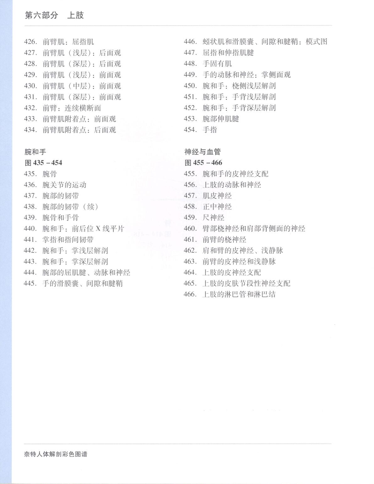 《奈特人体解剖彩色图谱 第3版》Frank H. Netter原著；王怀经主译&R - 哔哩哔哩