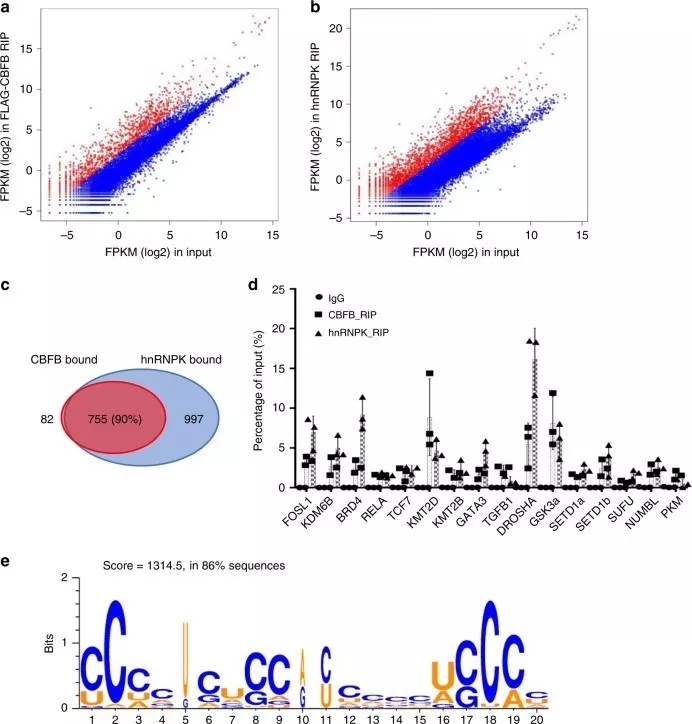 蛋白质和RNA互作神器：RIP-seq & CLIP-seq - 哔哩哔哩
