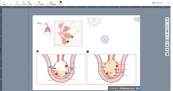 打破信息差之后，原来这11个免费工具都比Figdraw更好用！ - 哔哩哔哩