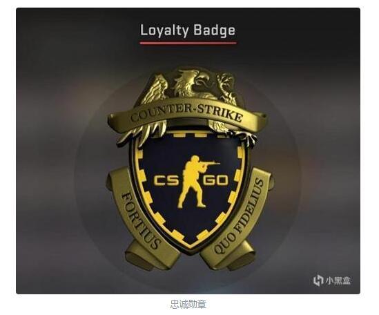 《CS:GO》各种勋章介绍/获得方法 - 哔哩哔哩