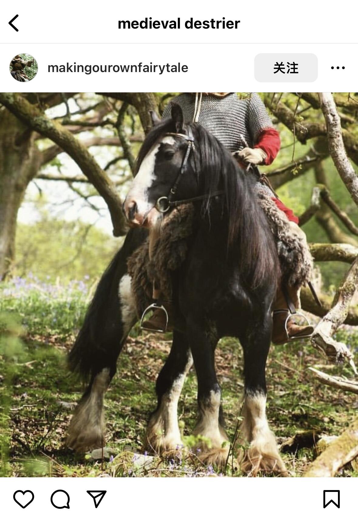 中世纪的马儿们到底长什么样（图片皆收集于ins） - 哔哩哔哩