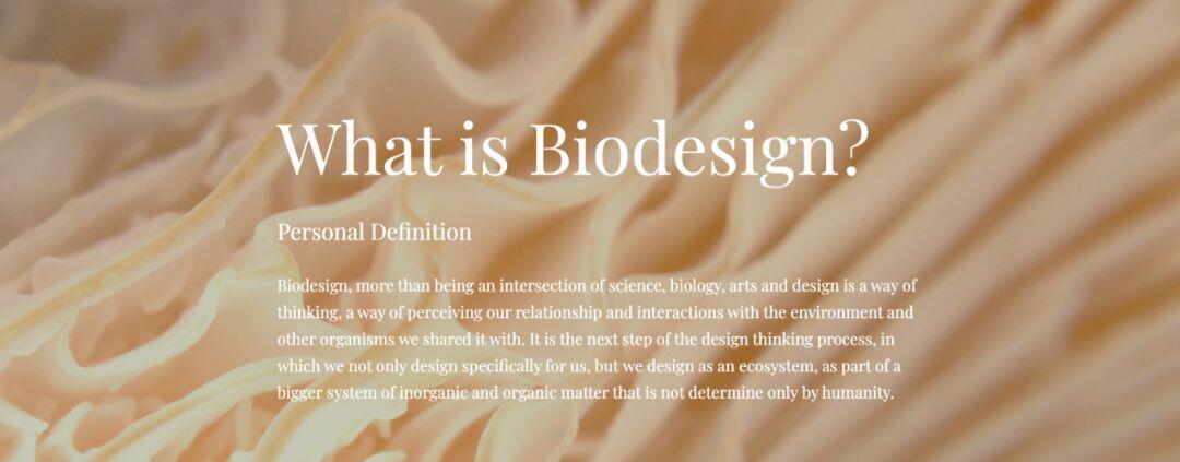 CY TALKS | CSM BIO DESIGN 生物设计—为真实的世界做设计（上） - 哔哩哔哩
