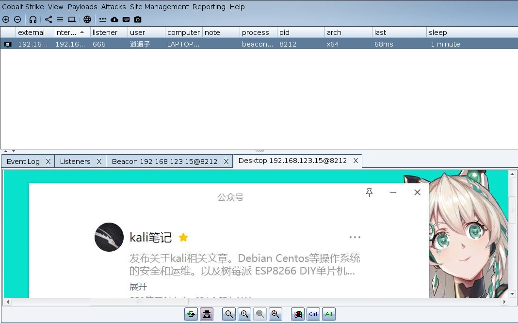 Cs4.9下载及使用 - 哔哩哔哩
