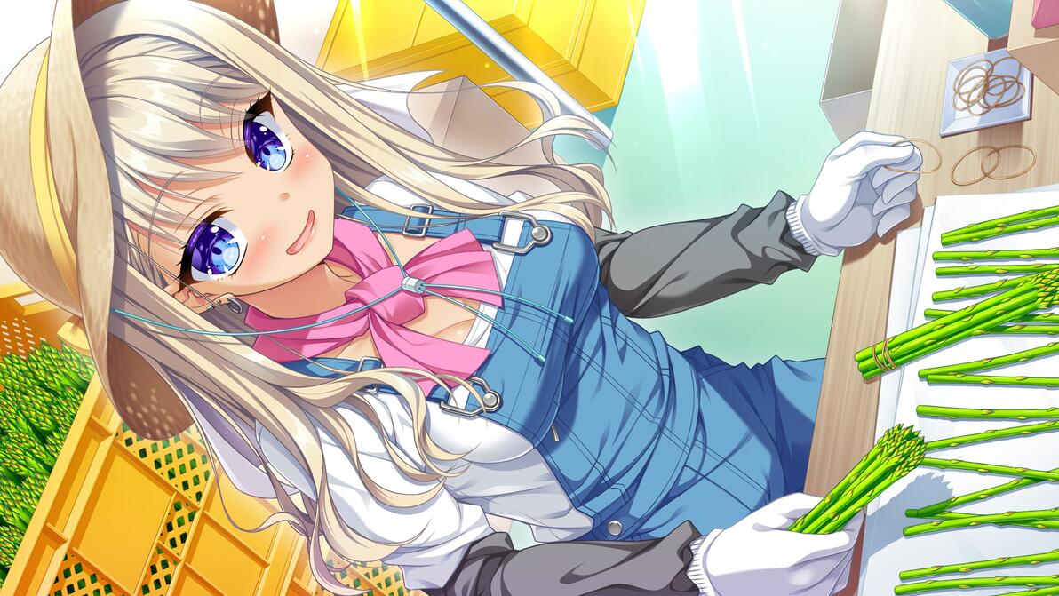 [GAL]《AMBITIOUS MISSION》系列相关的CG、插画，立绘 - 哔哩哔哩